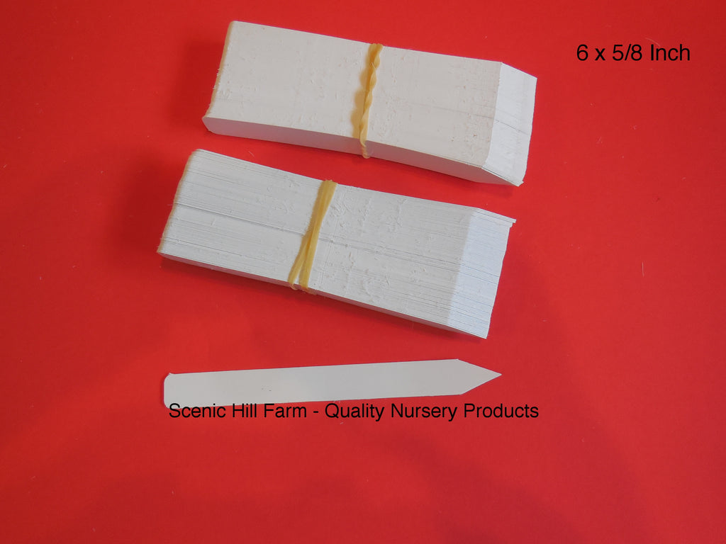 White Plastic Plant Stakes 6" X 5/8" Markers Plant Labels Nursery Tags ...