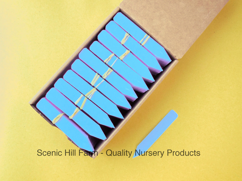 Blue Plastic Plant Stakes Labels Nursery Tags - Made in USA - 4" X 5/8 ...