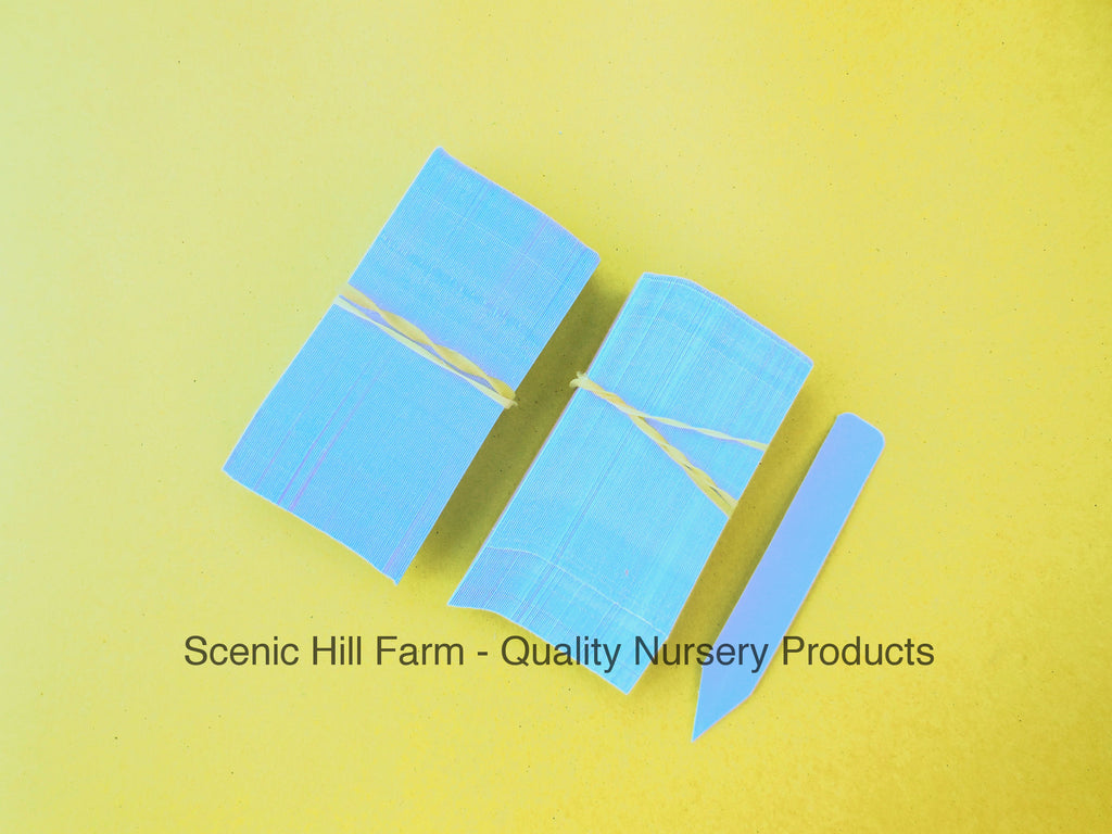 Blue Plastic Plant Stakes Labels Nursery Tags - Made in USA - 4" X 5/8 ...